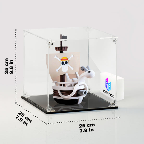 Acrylic Display Box by AcrystBox – Willit Retail Display